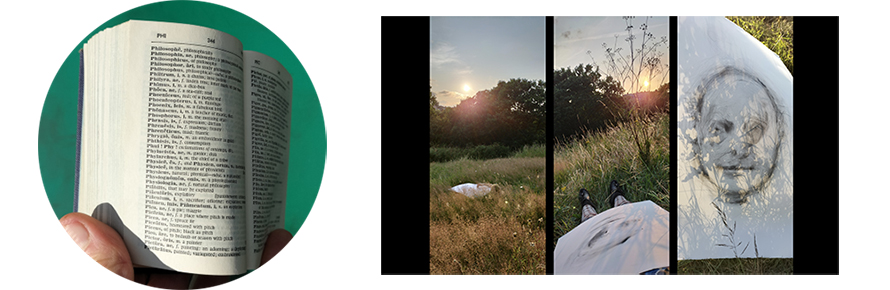 Updates from Hester Reeve – July 2023 - The CCRI Impact Blog