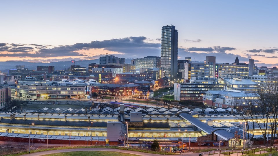 International Orientation September 2025 | GoGlobal